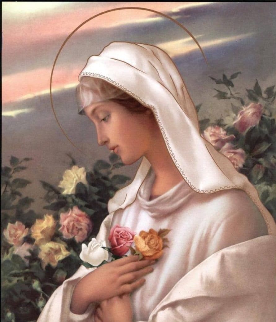 LA PODEROSA ROSA MÍSTICA: SIGNIFICADO, ROSARIO Y ORACIÓN