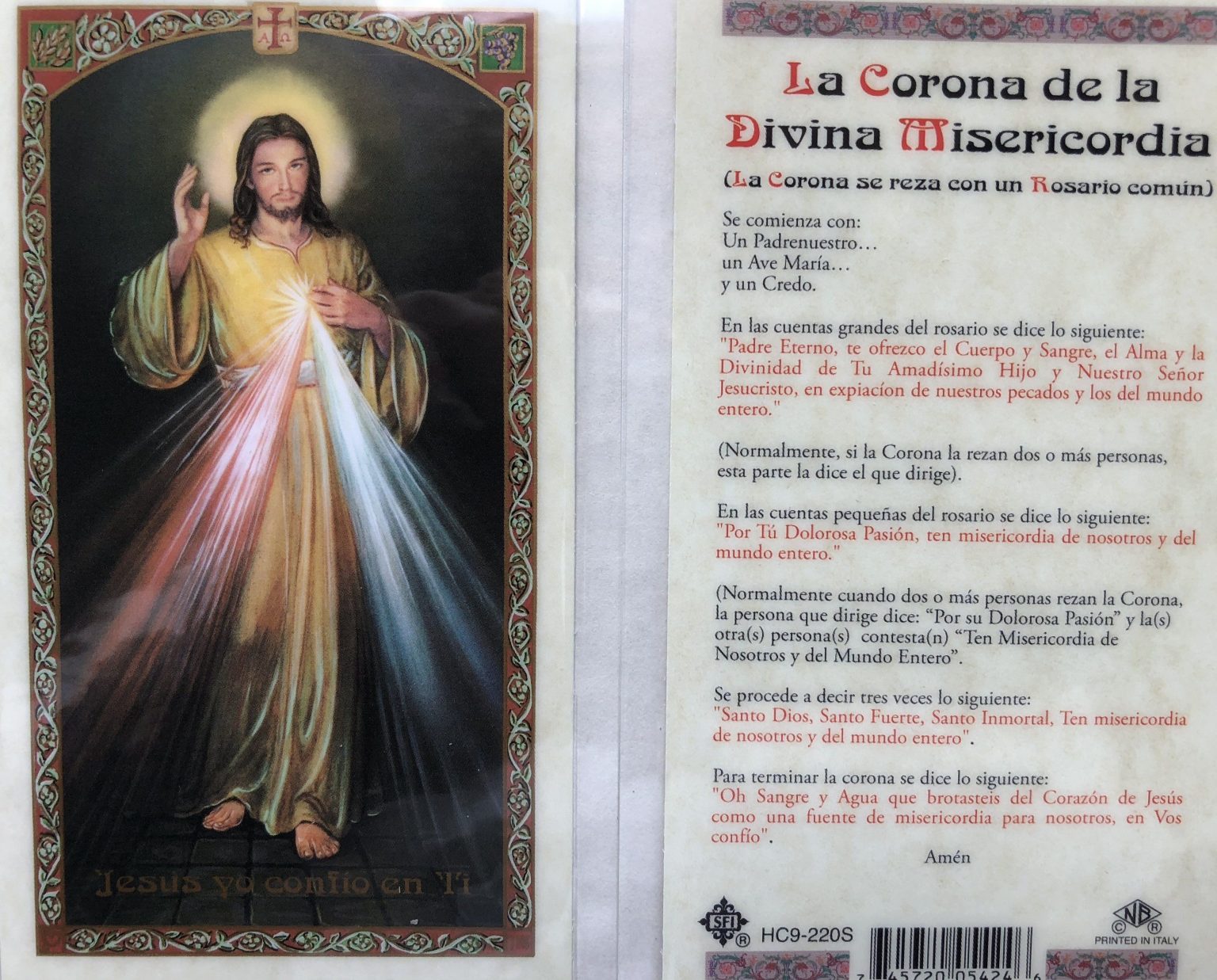LA PODEROSA CORONA DE LA DIVINA MISERICORDIA